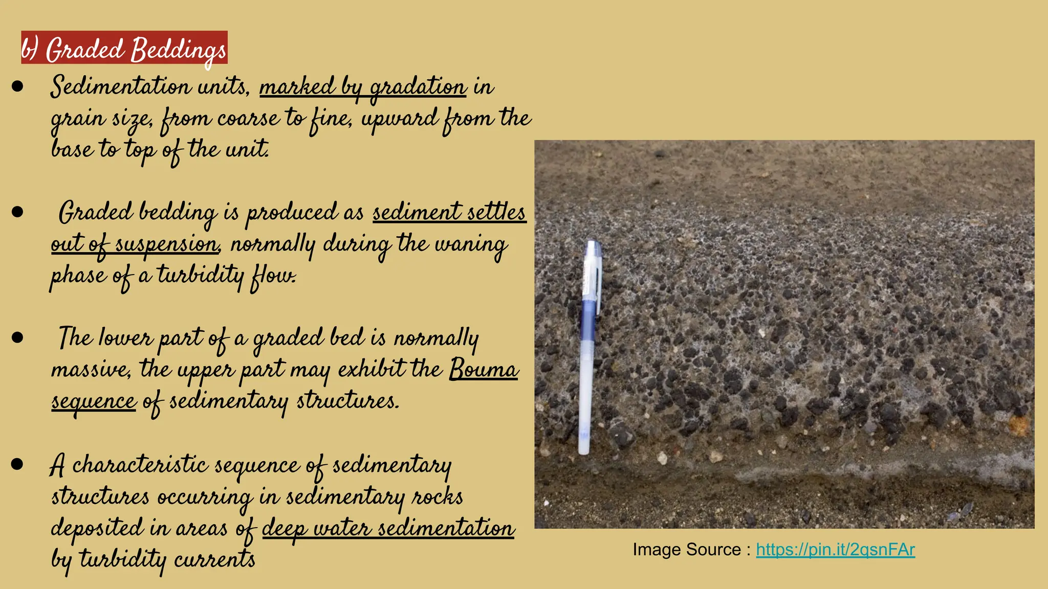 SEDIMENTARY STRUCTURES IN SEDIMENTOLOGY/ | PDF