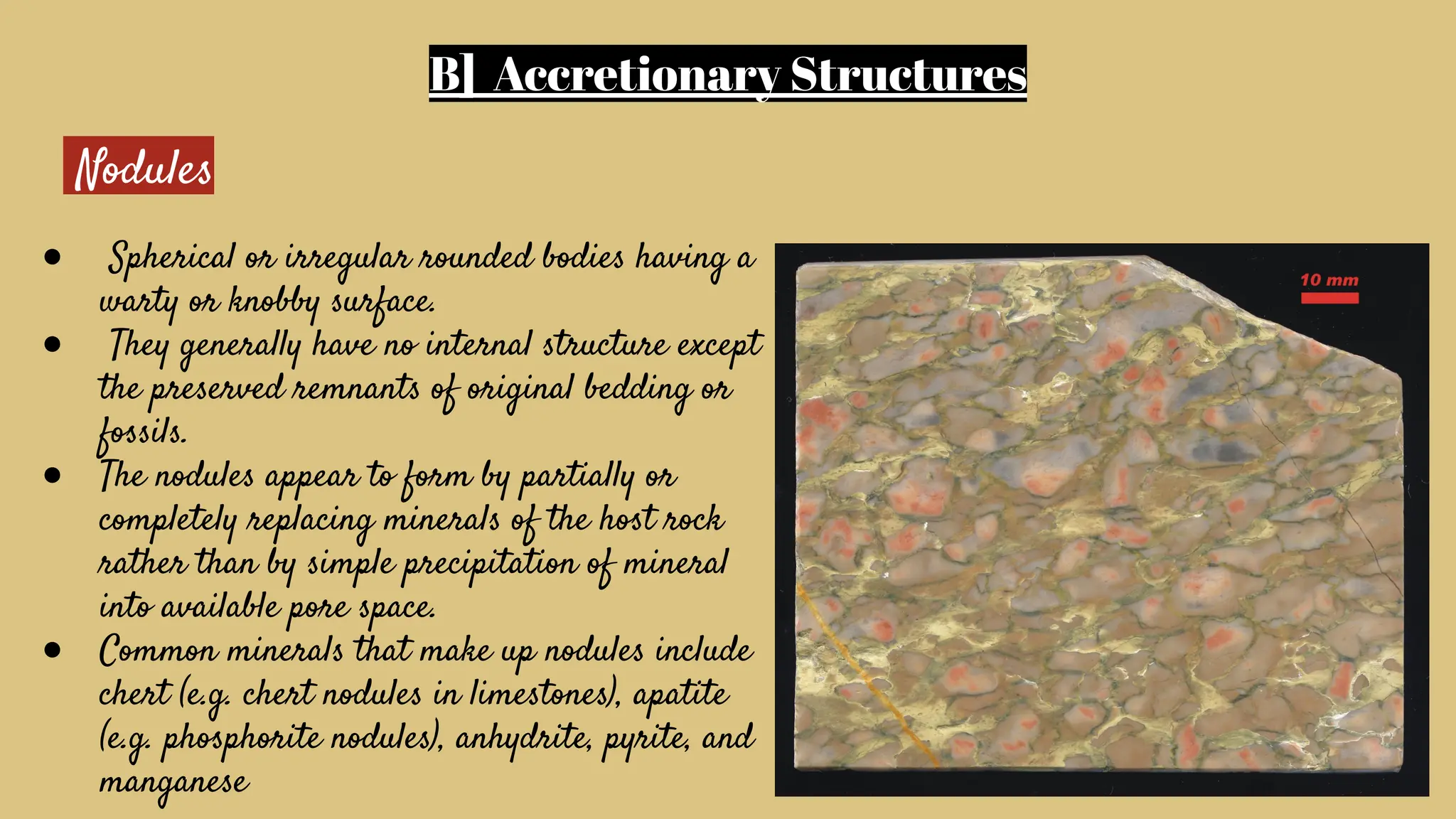 SEDIMENTARY STRUCTURES IN SEDIMENTOLOGY/ | PDF