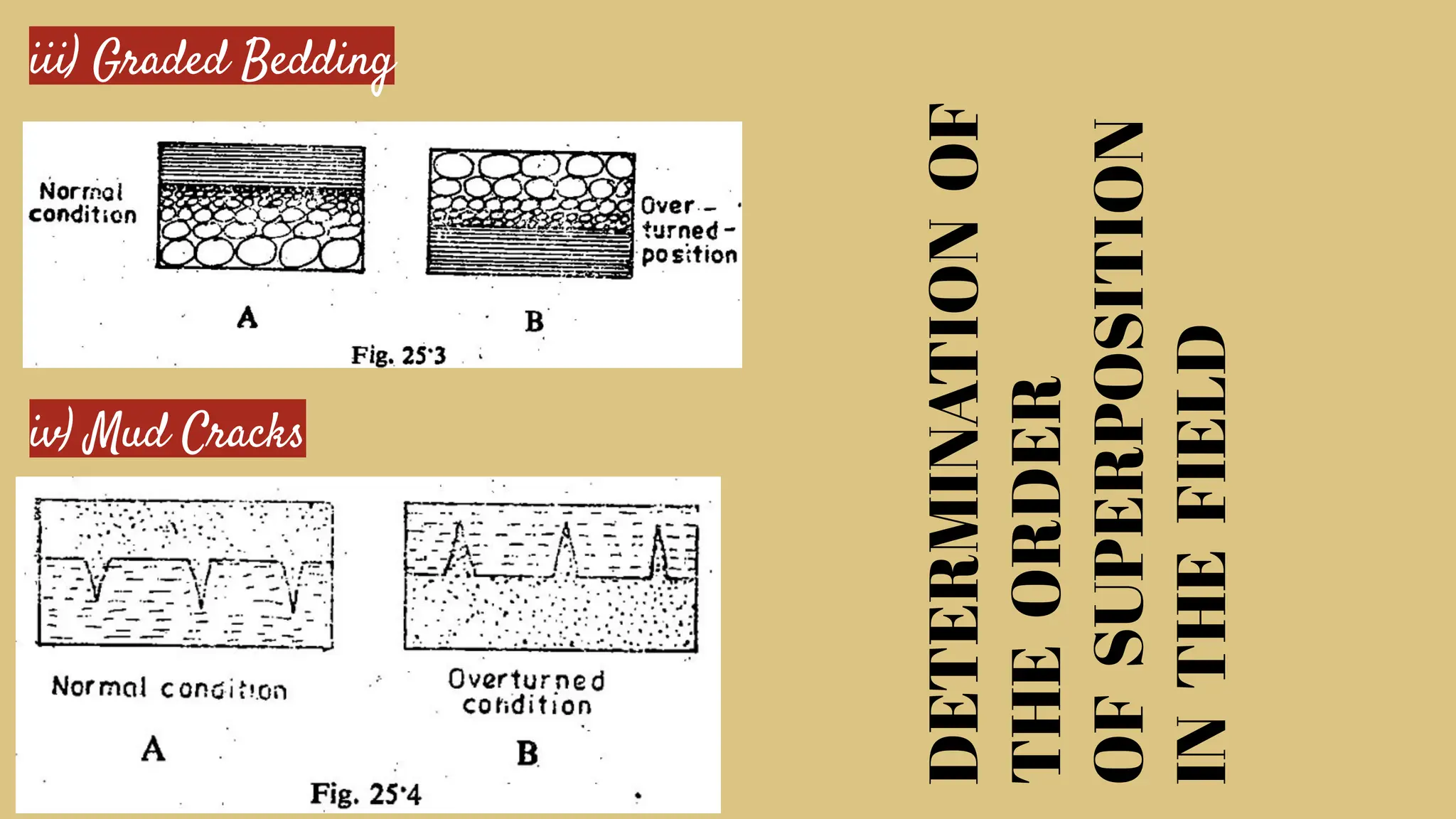 SEDIMENTARY STRUCTURES IN SEDIMENTOLOGY/ | PDF