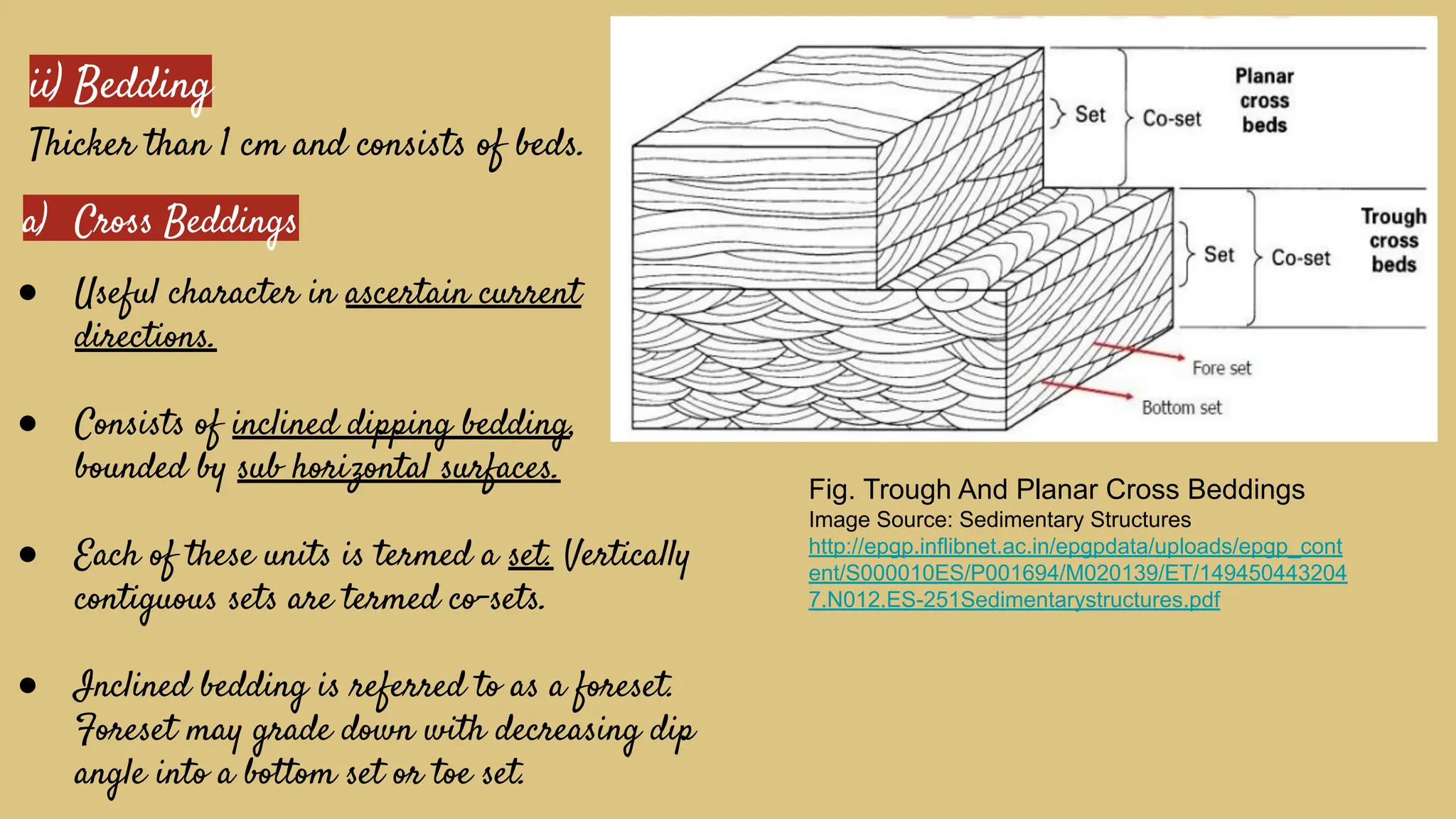 SEDIMENTARY STRUCTURES IN SEDIMENTOLOGY/ | PDF