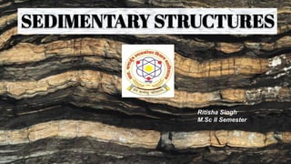 SEDIMENTARY STRUCTURES IN SEDIMENTOLOGY/ | PDF | Geology | Science