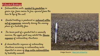 SEDIMENTARY STRUCTURES IN SEDIMENTOLOGY/ | PDF | Geology | Science