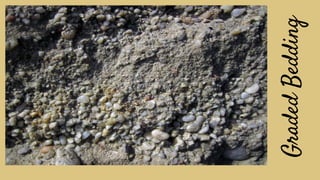 SEDIMENTARY STRUCTURES IN SEDIMENTOLOGY/ | PDF | Geology | Science