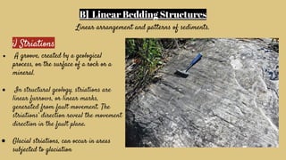 SEDIMENTARY STRUCTURES IN SEDIMENTOLOGY/ | PDF | Geology | Science