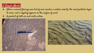 SEDIMENTARY STRUCTURES IN SEDIMENTOLOGY/ | PDF | Geology | Science