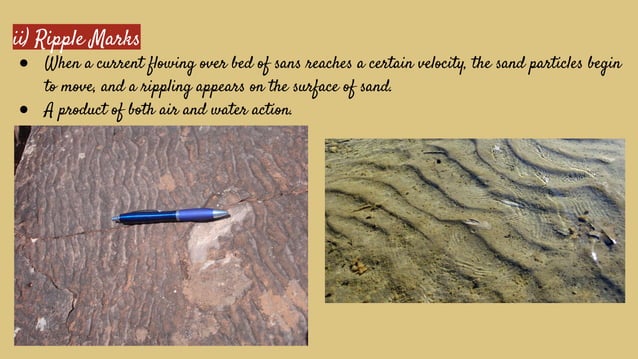 SEDIMENTARY STRUCTURES IN SEDIMENTOLOGY/ | PDF | Geology | Science