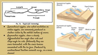 SEDIMENTARY STRUCTURES IN SEDIMENTOLOGY/ | PDF | Geology | Science