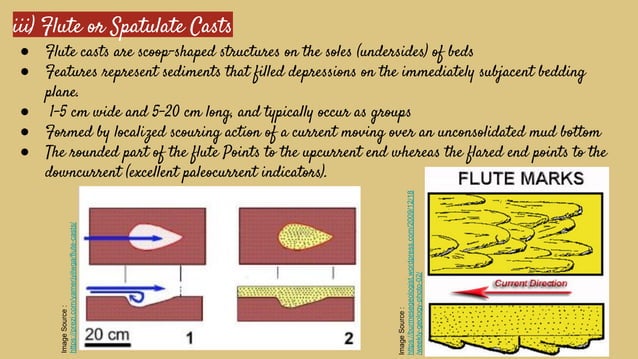 SEDIMENTARY STRUCTURES IN SEDIMENTOLOGY/ | PDF | Geology | Science