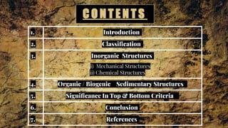 SEDIMENTARY STRUCTURES IN SEDIMENTOLOGY/ | PDF | Geology | Science