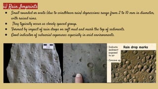 SEDIMENTARY STRUCTURES IN SEDIMENTOLOGY/ | PDF | Geology | Science