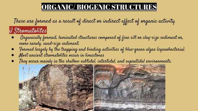 SEDIMENTARY STRUCTURES IN SEDIMENTOLOGY/ | PDF | Geology | Science