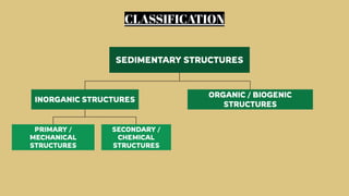 SEDIMENTARY STRUCTURES IN SEDIMENTOLOGY/ | PDF | Geology | Science