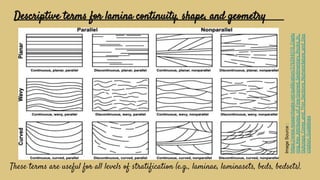 SEDIMENTARY STRUCTURES IN SEDIMENTOLOGY/ | PDF | Geology | Science