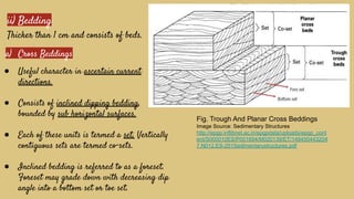SEDIMENTARY STRUCTURES IN SEDIMENTOLOGY/ | PDF | Geology | Science