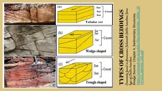 SEDIMENTARY STRUCTURES IN SEDIMENTOLOGY/ | PDF | Geology | Science