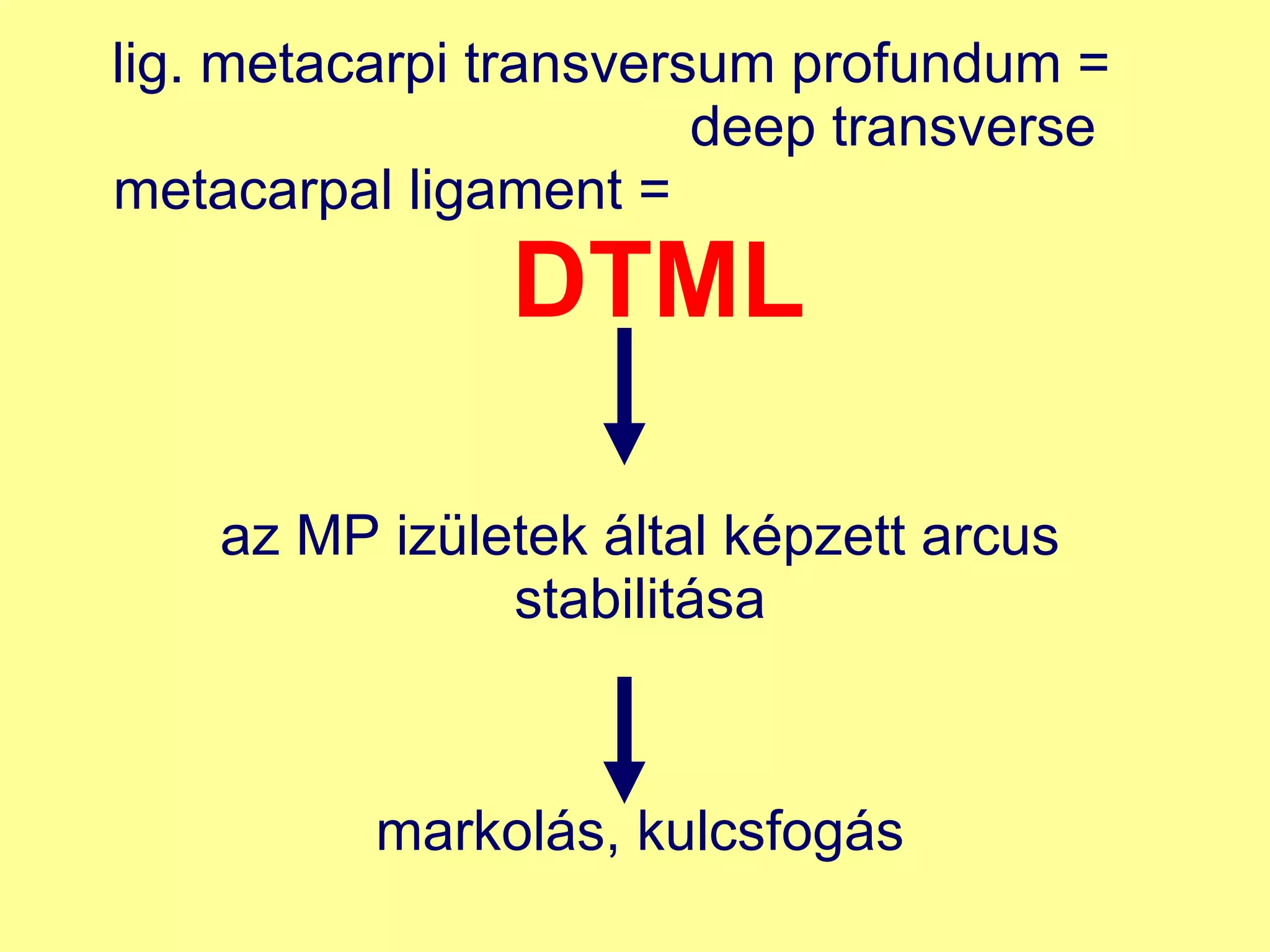 Rare ligamental (DTML) hand injury (oral presentation); 2nd award for ...