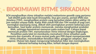 MATERI RITME TERJAGA DAN TIDUR BIOPSIKOLOGI.pptx