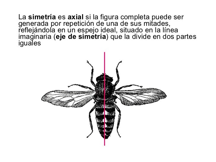 Ritmo simetria y equilibrio