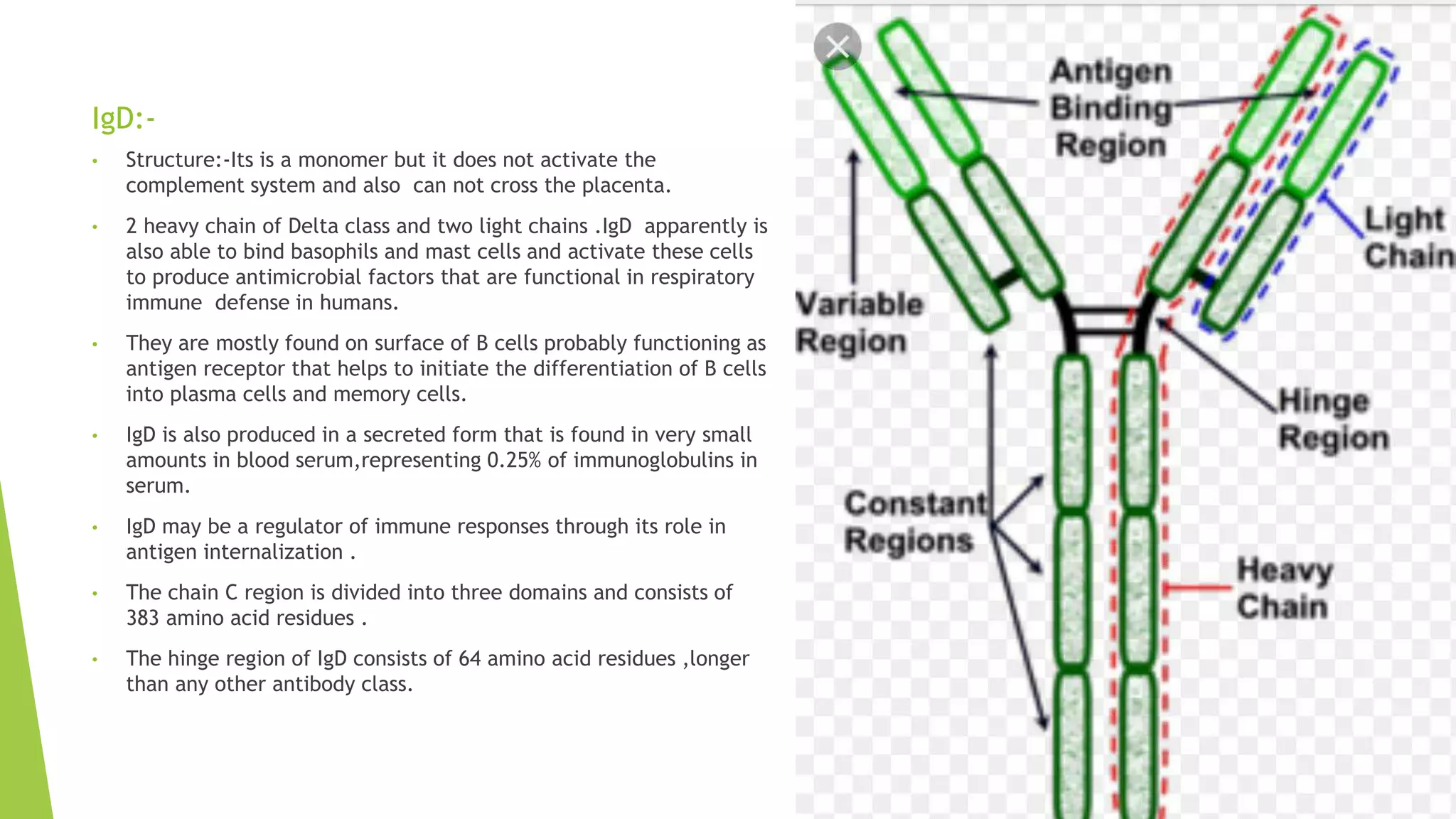 classes of immunoglobulin | PPTX