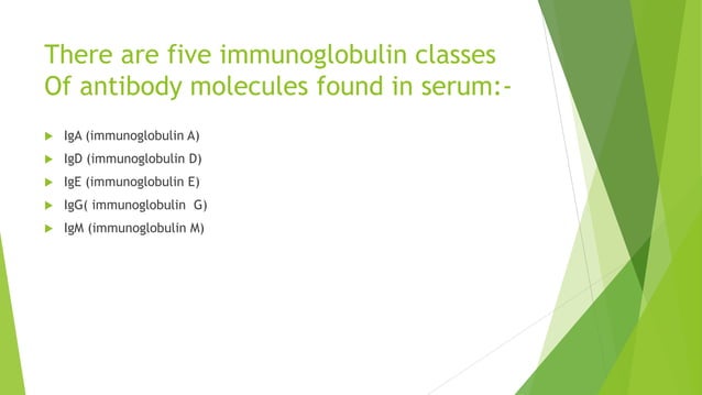 classes of immunoglobulin | PPTX | Allergies | Diseases and Conditions