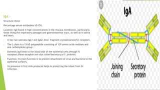 classes of immunoglobulin | PPTX | Allergies | Diseases and Conditions