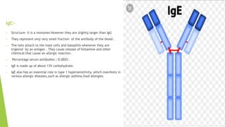 classes of immunoglobulin | PPTX