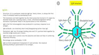 classes of immunoglobulin | PPTX
