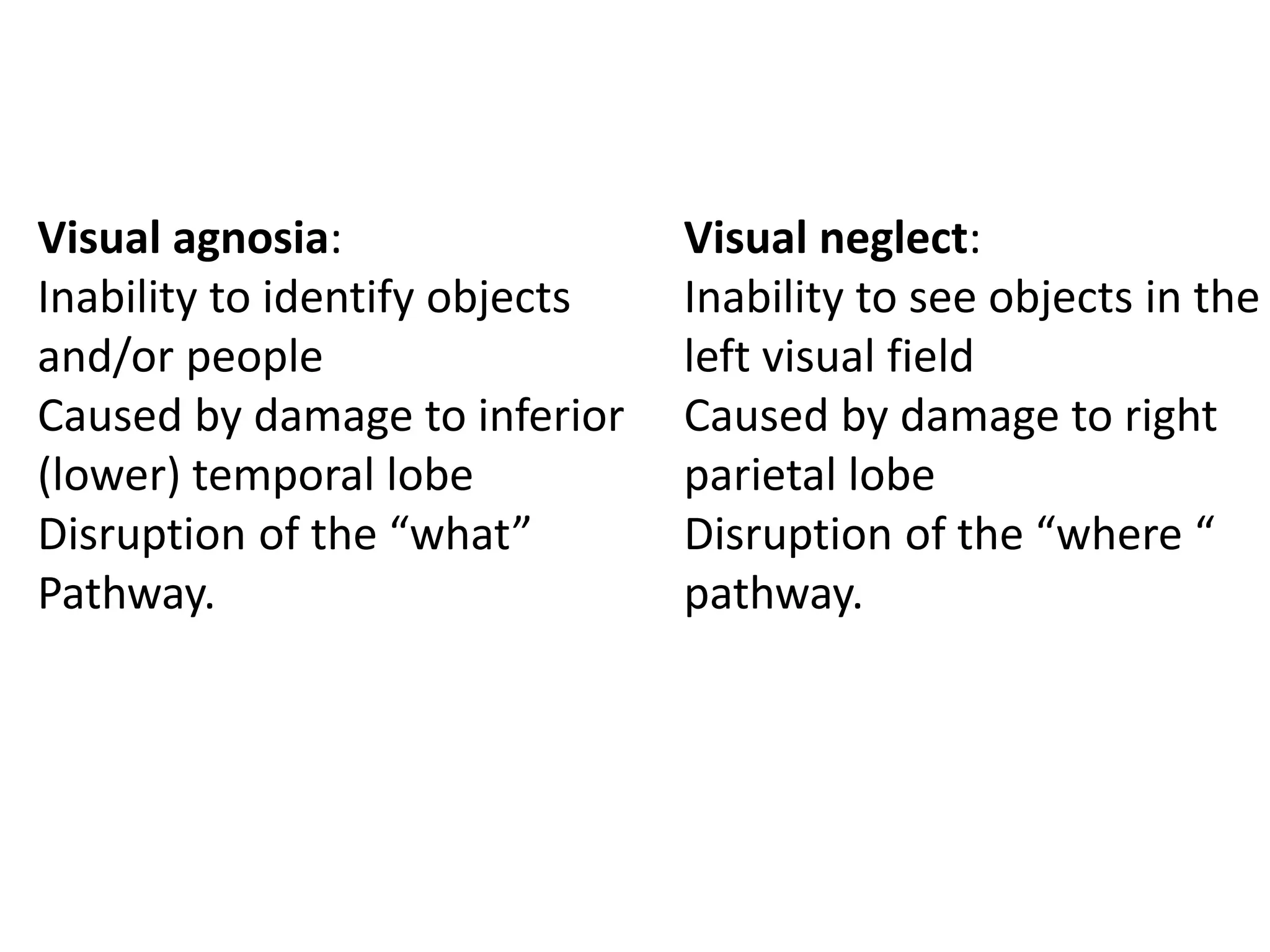 Visual System - the visual pathway basic | PPTX