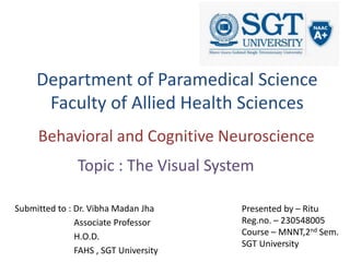 Visual System - the visual pathway basic | PPTX