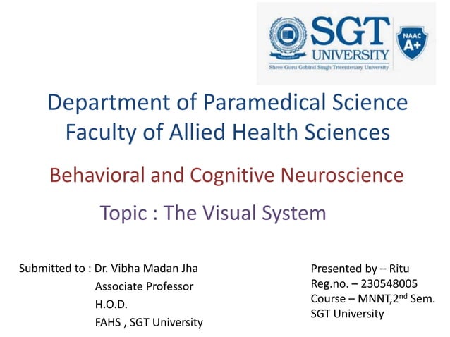 Visual System - the visual pathway basic | PPT