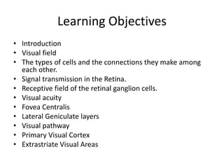 Visual System - the visual pathway basic | PPTX