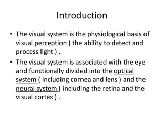 Visual System - the visual pathway basic | PPTX