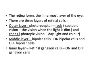 Visual System - the visual pathway basic | PPTX