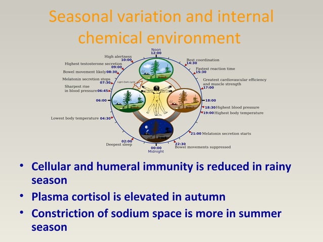 Ritucharya final presentation | PPT