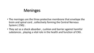 Brief Meninges, CSF and pituitary gland | PPT