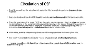 Brief Meninges, CSF and pituitary gland | PPT