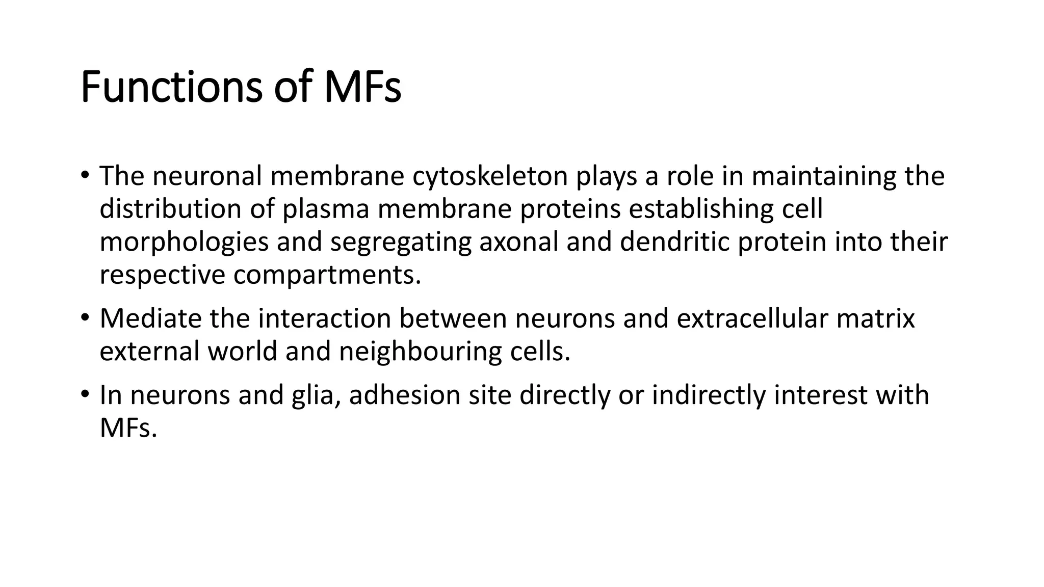 The Cytoskeleton of the neurons and glia | PPTX
