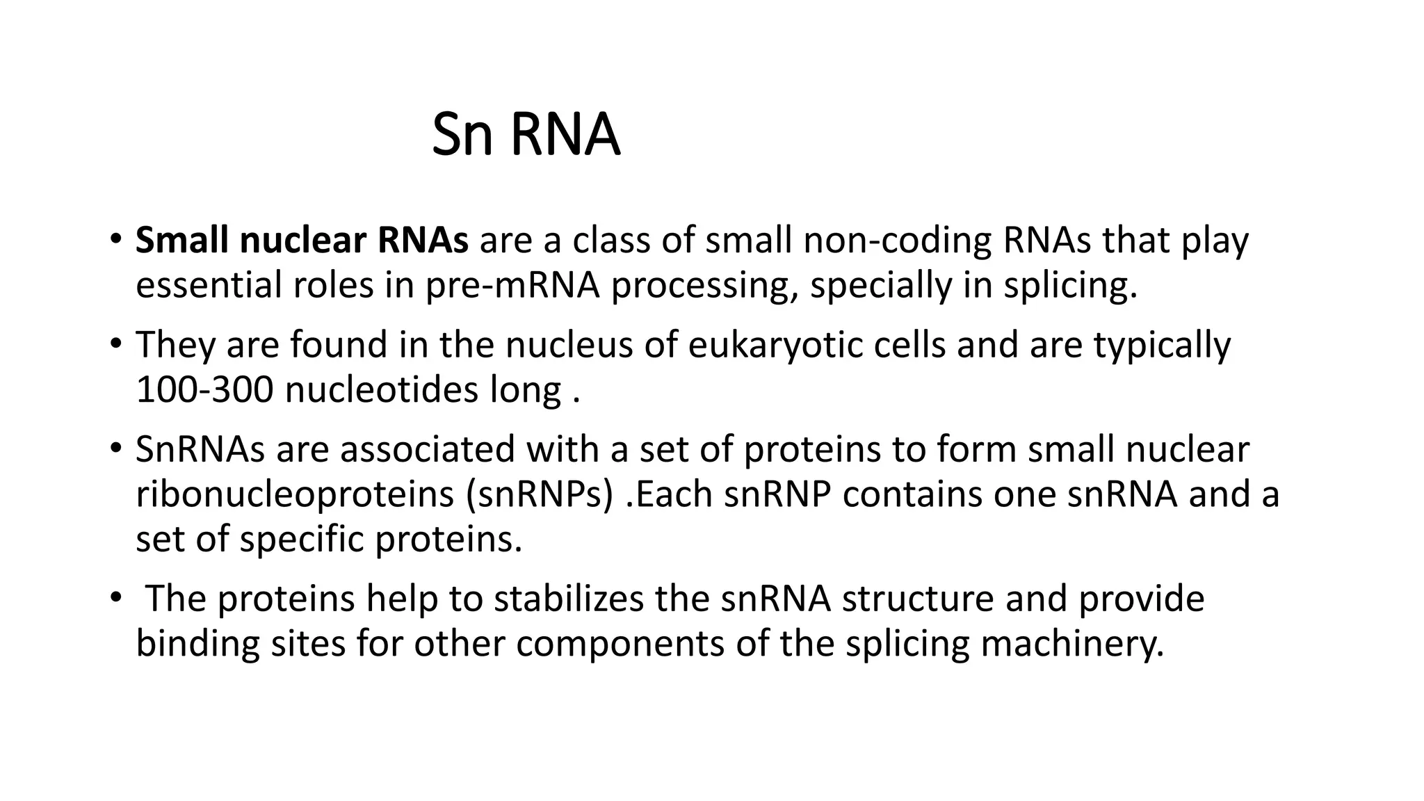 Structures And Functions Of Types Of Rna Pptx Programming Languages