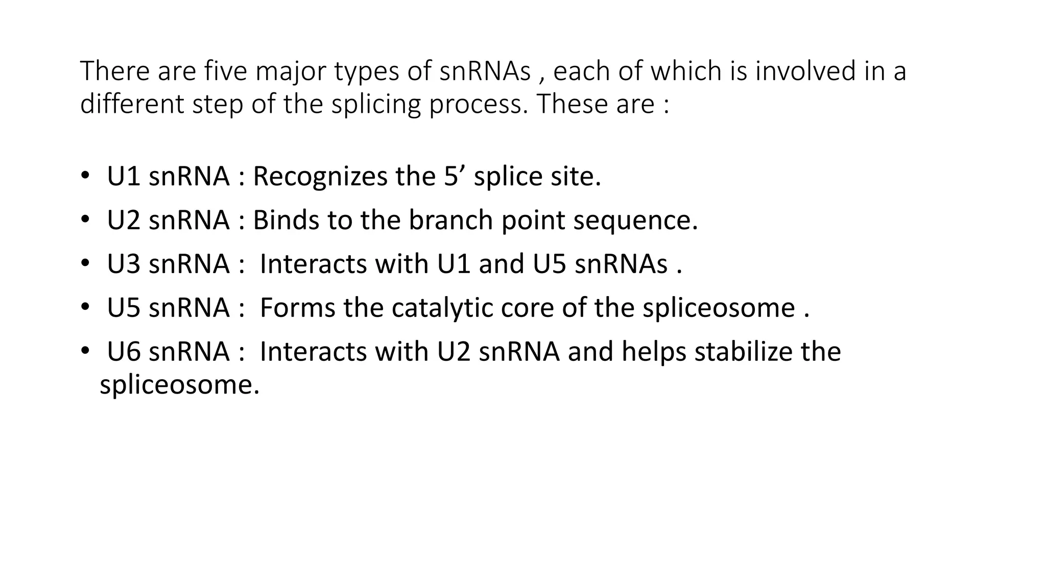 Structures And Functions Of Types Of Rna Pptx Programming Languages