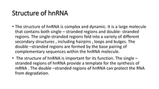 Structures and Functions of types of RNA | PPTX | Programming Languages ...