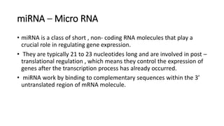 Structures and Functions of types of RNA | PPTX | Programming Languages | Computing