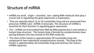 Structures and Functions of types of RNA | PPTX | Programming Languages ...