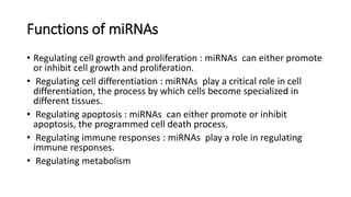 Structures and Functions of types of RNA | PPTX | Programming Languages ...