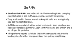 Structures and Functions of types of RNA | PPTX | Programming Languages ...