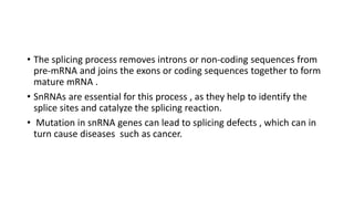 Structures and Functions of types of RNA | PPTX | Programming Languages | Computing