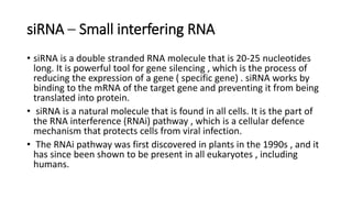 Structures and Functions of types of RNA | PPTX