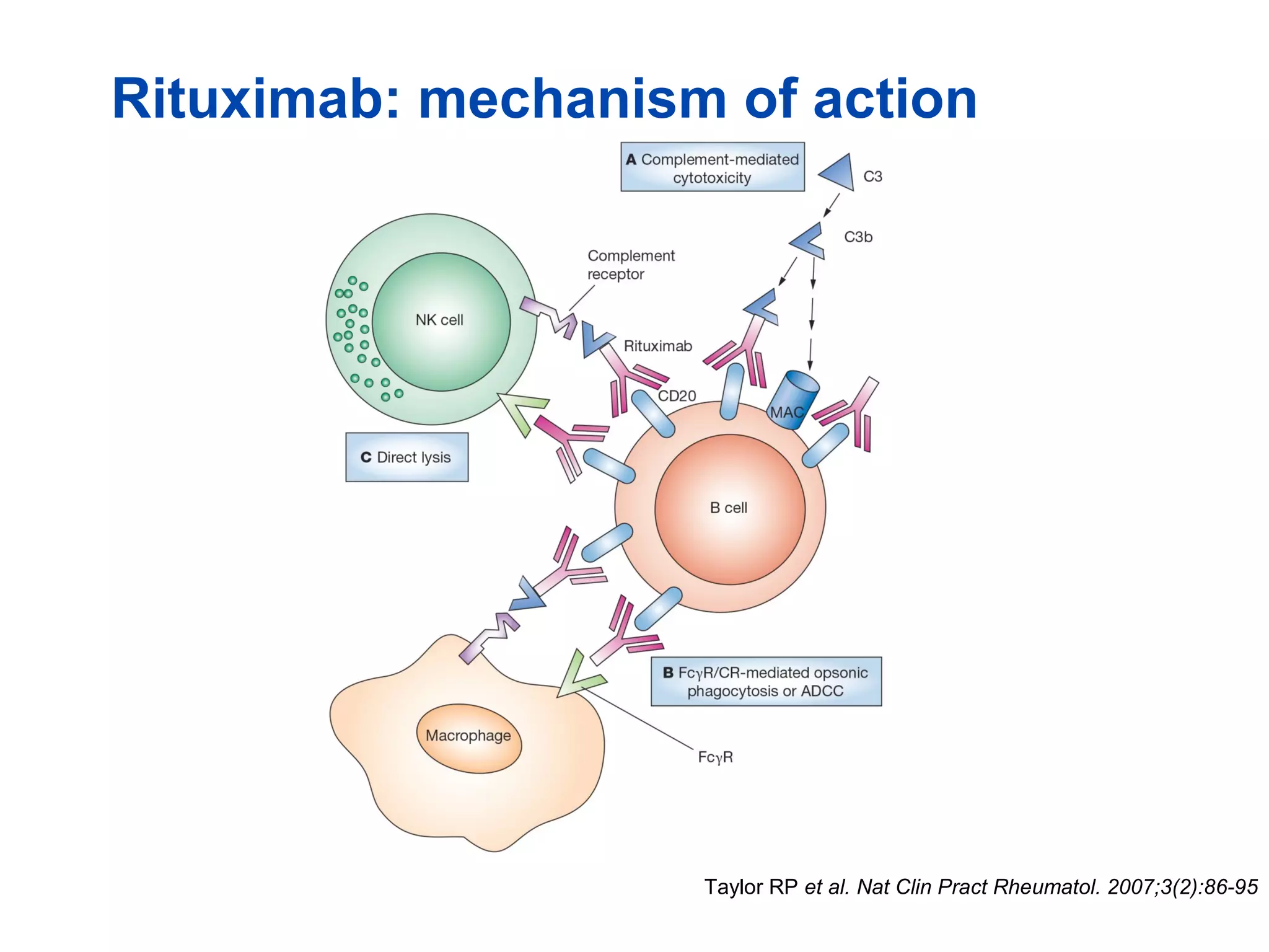 Rituximab as Induction Immunosuppression in Compatible Kidney Transplantation: Journal Club ...