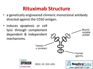 Rituxan Structure