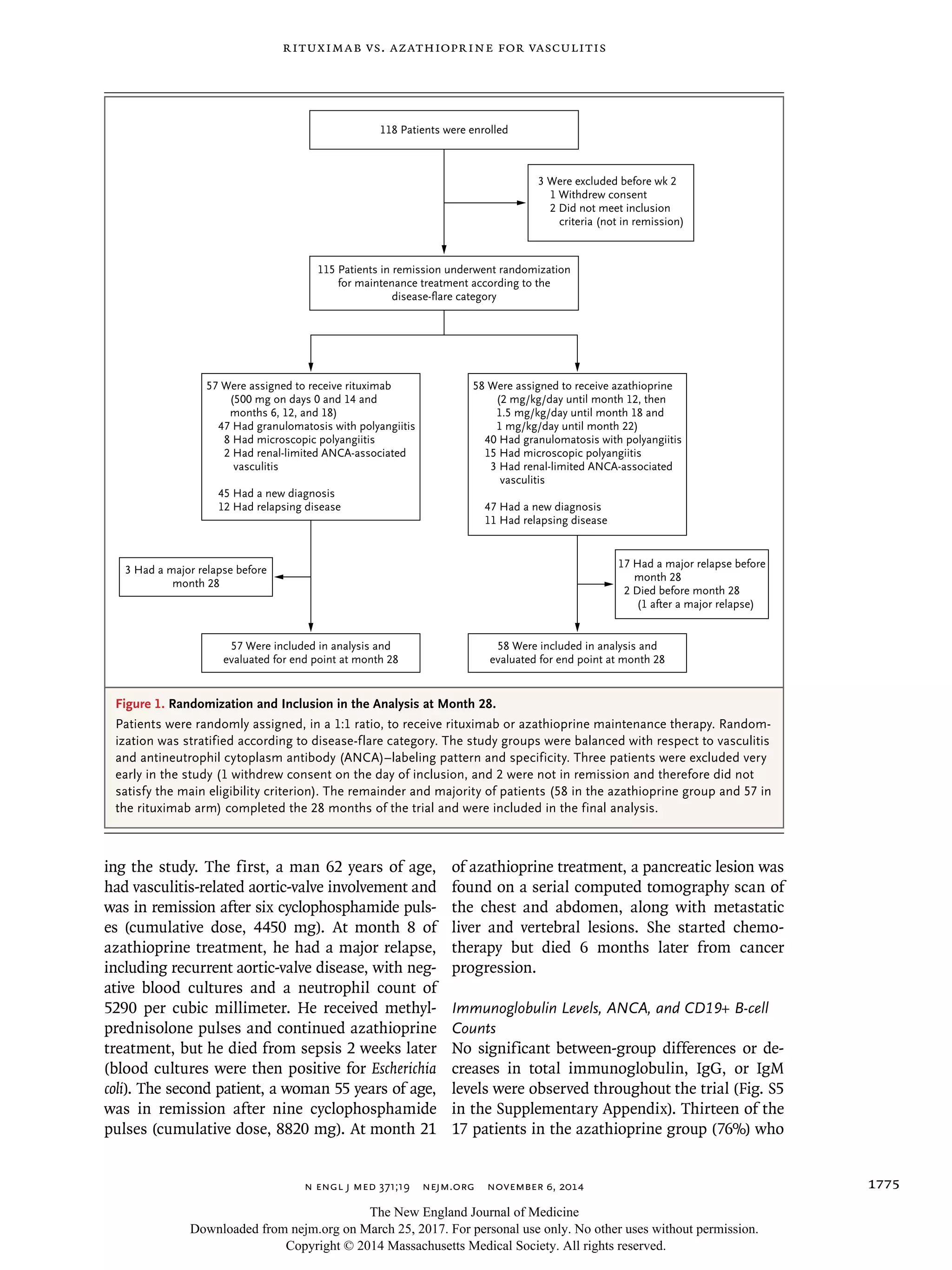 Rituximab MAINTAININCE in vasculitis | PDF | Blood Disorders | Diseases and Conditions
