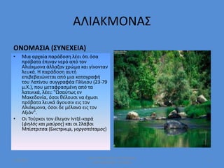 River | PPT